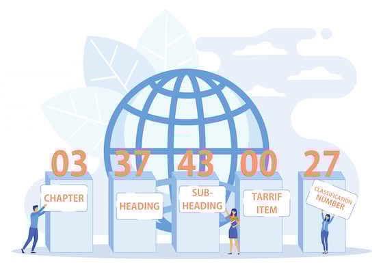 HTS Codes: The Importer’s Ultimate Guide